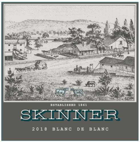 Buy Skinner Vineyards 2018 Blanc de Blancs® Online | Wine Delivered ...